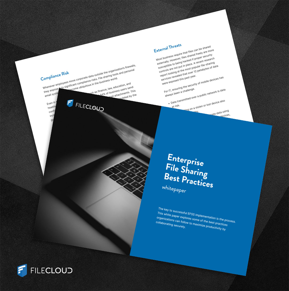 Enterprise File Sharing Best Practices