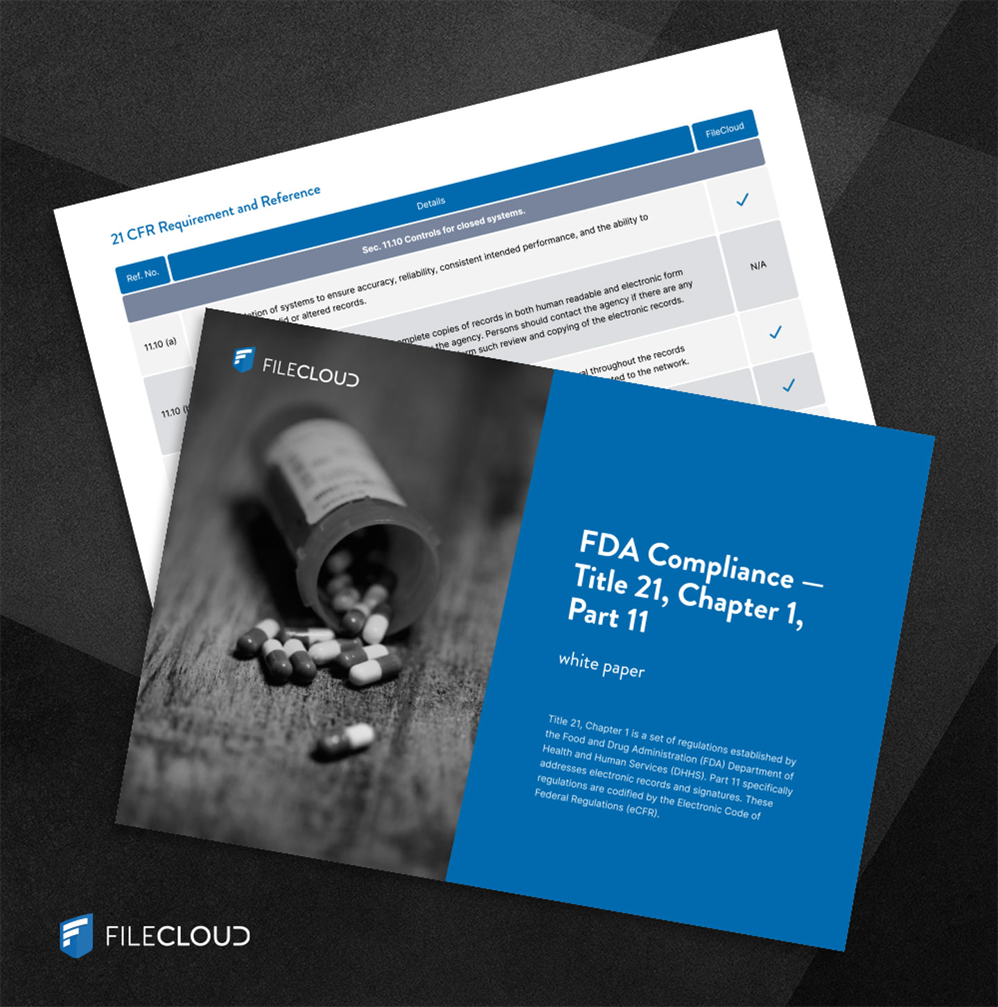 Title 21 – Part 11 Foods and Drugs Chapter I